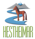 Tours and Activities - Hestheimar
